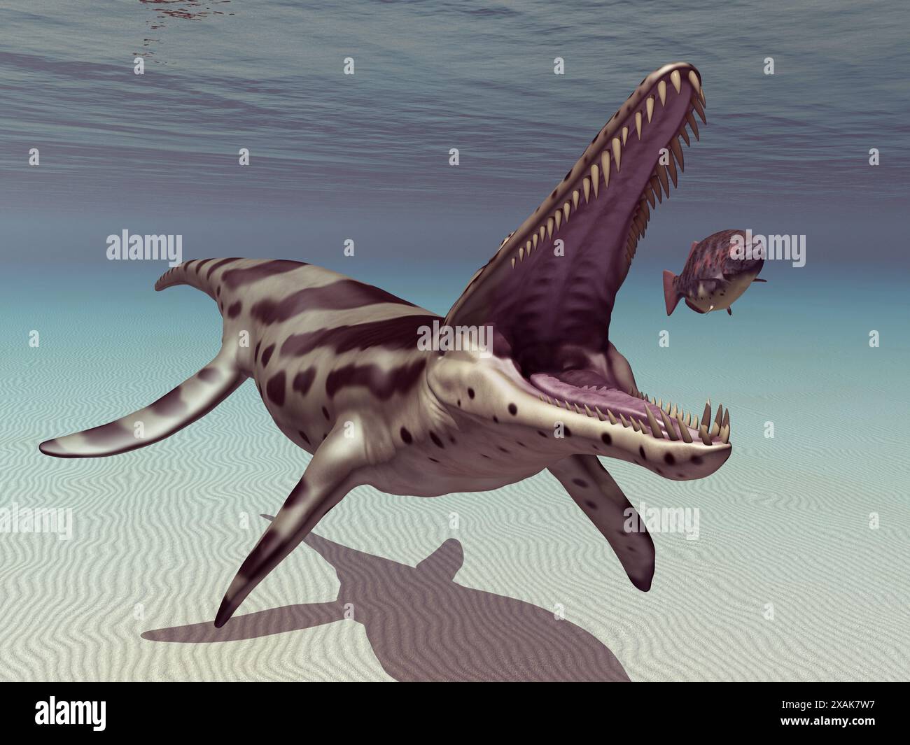 Pliosaur hi-res stock photography and images - Alamy