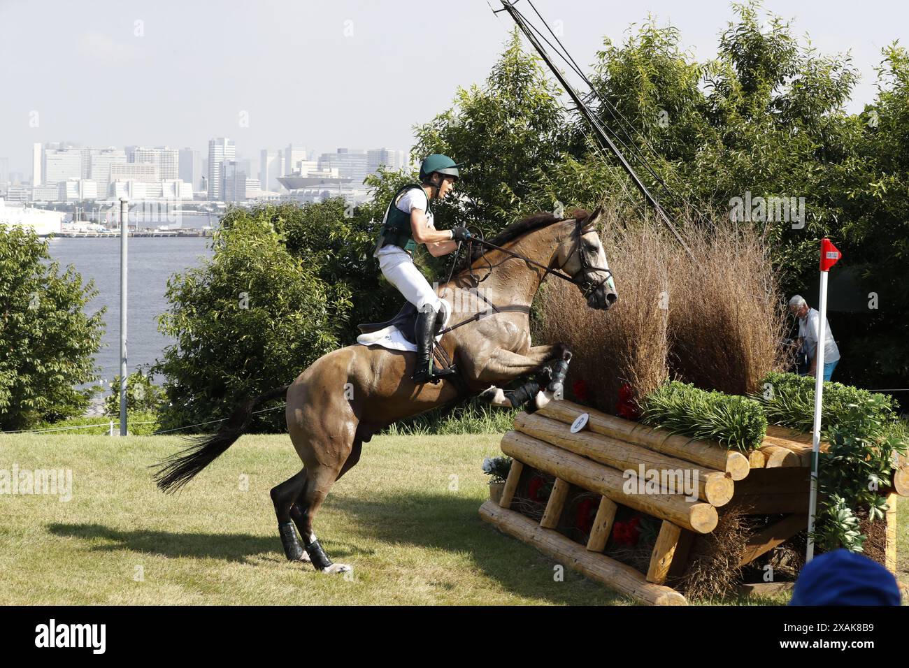 Tokyo - Japan, July 11, 2024, equestrian competition at the Olympic ...