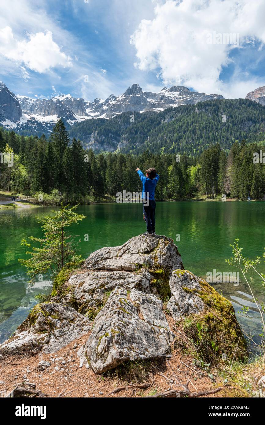 Child pointing at trees hi-res stock photography and images - Alamy