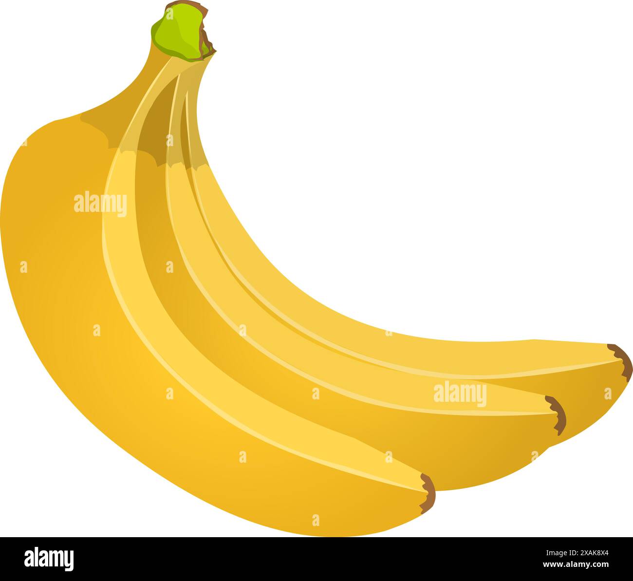 Banana batch isolated on white background. Tropical fruits. Vector ...