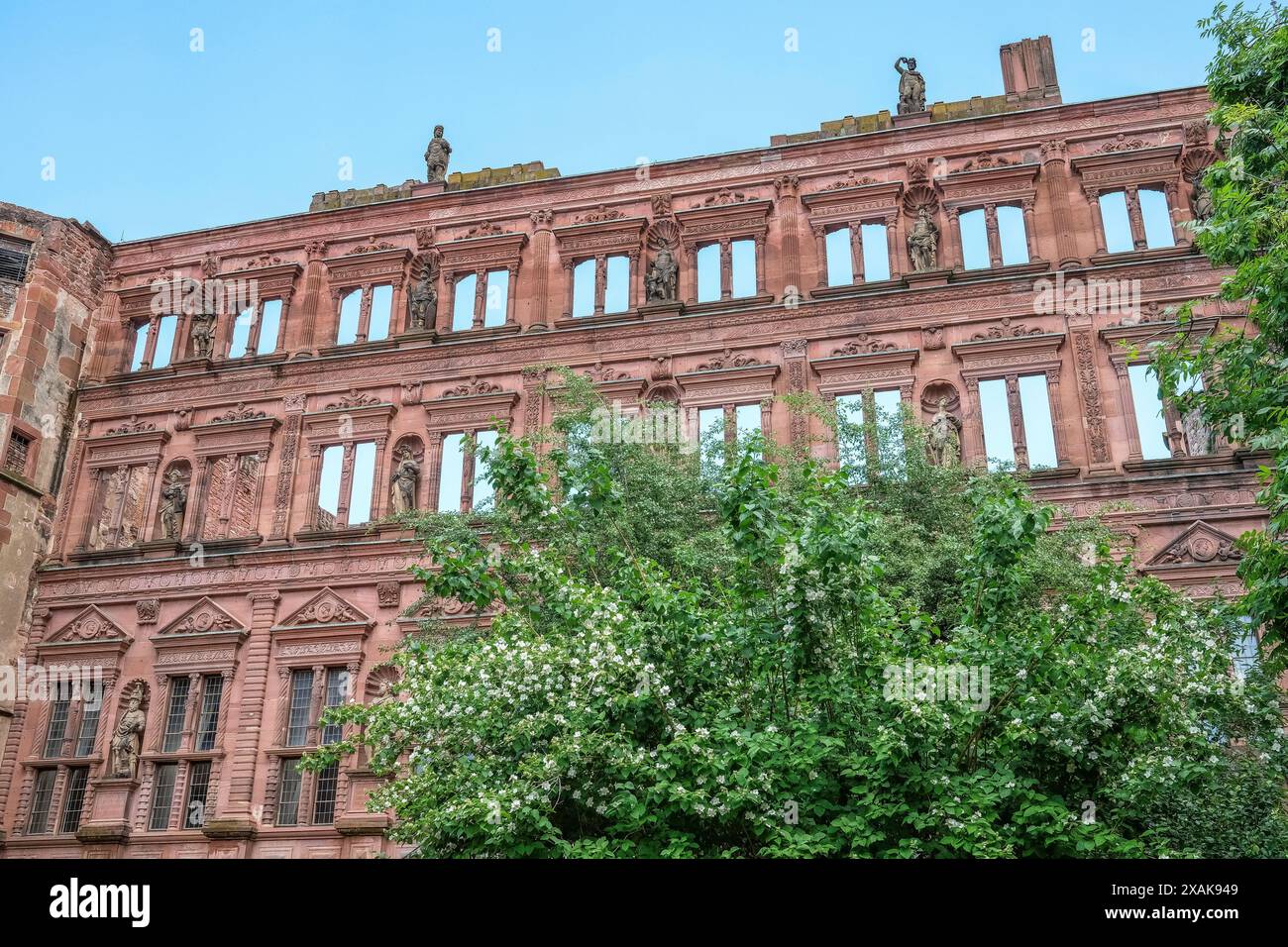 Europe, Germany, Baden-Württemberg, Heidelberg, View of the Ottheinrich ...