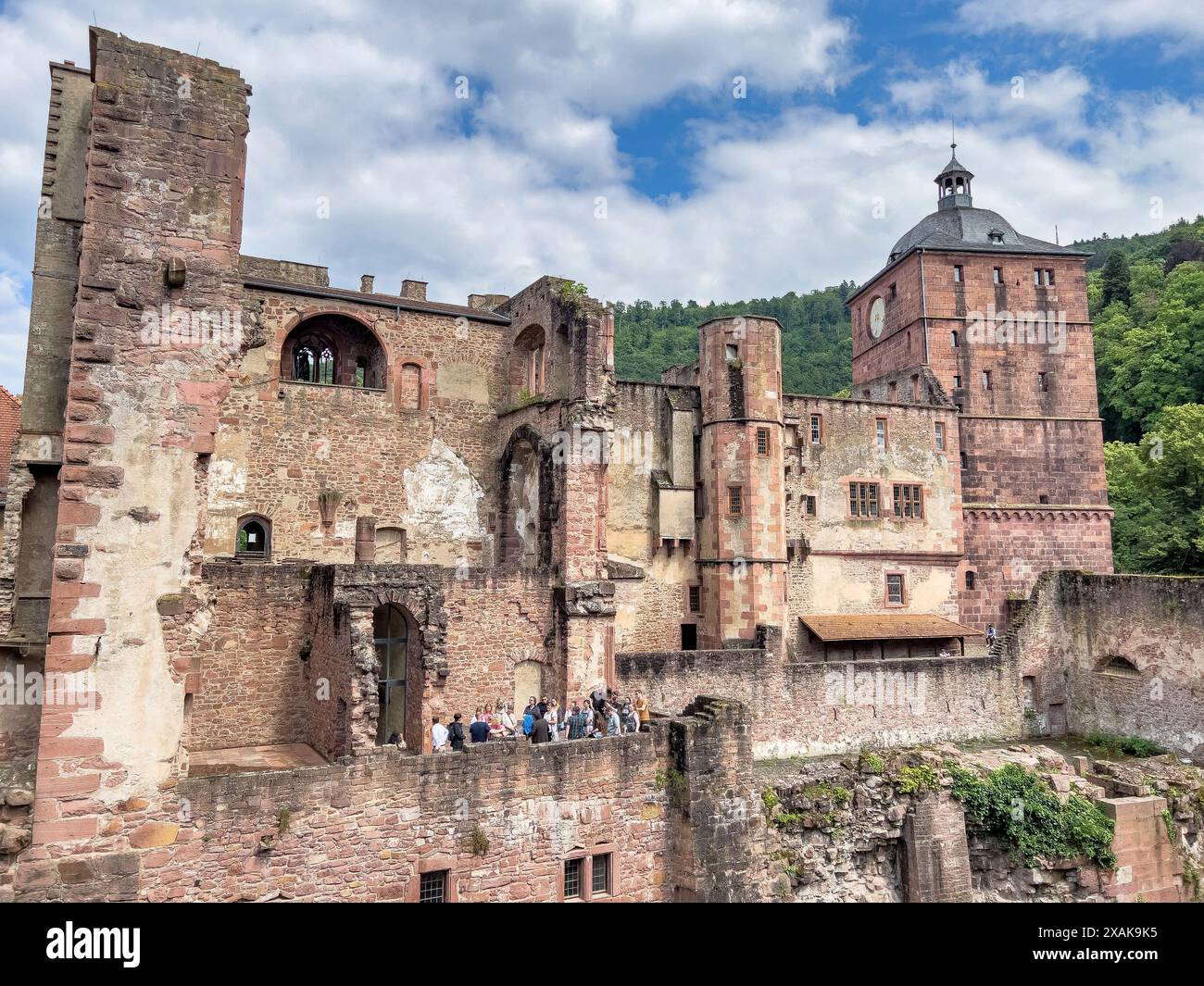 Europe, Germany, Baden-Württemberg, Heidelberg, Tourist group in the ...