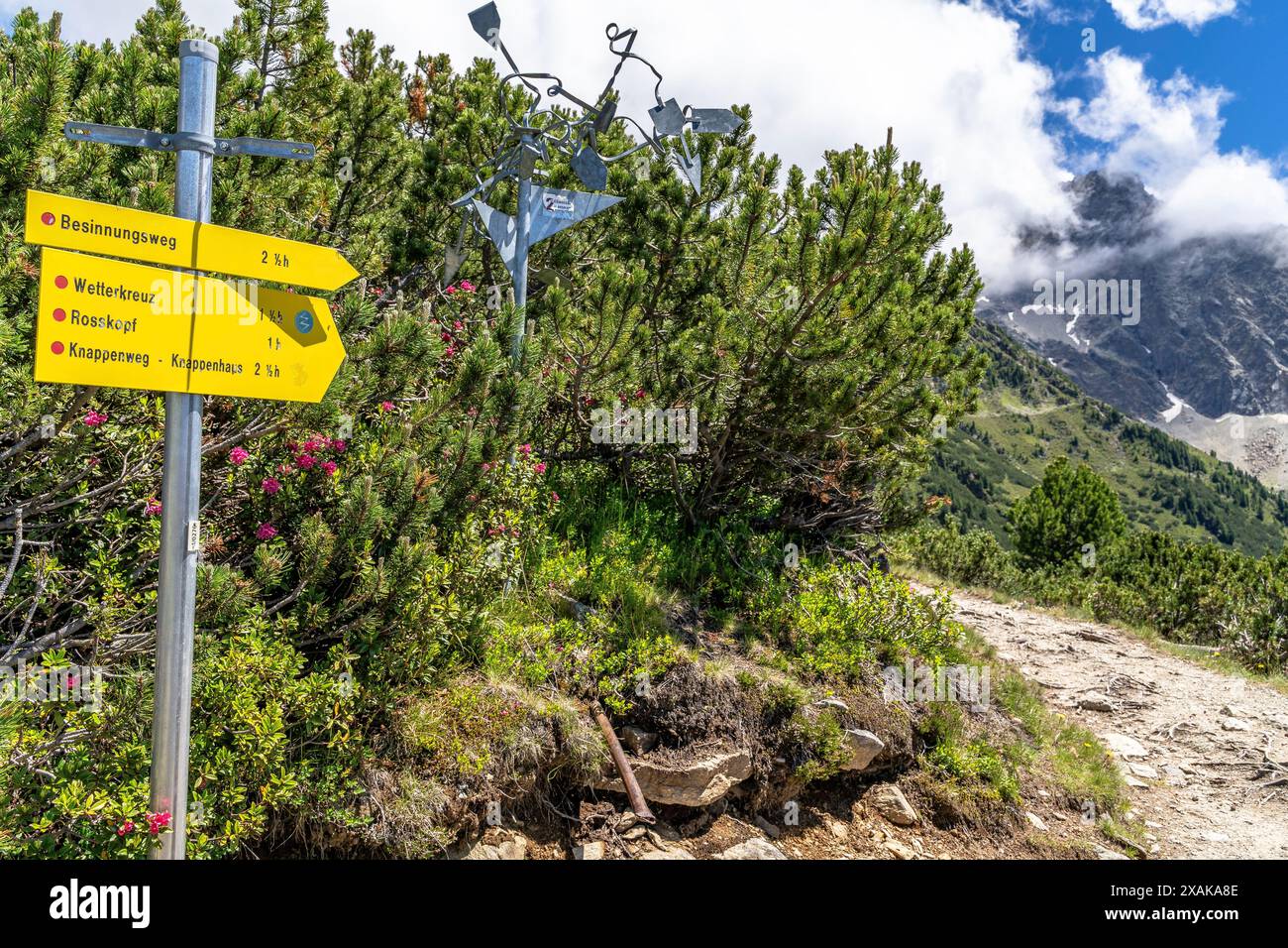 Europe, Austria, Tyrol, Ötztal Alps, Ötztal, Oetz, Hiking signs in ...
