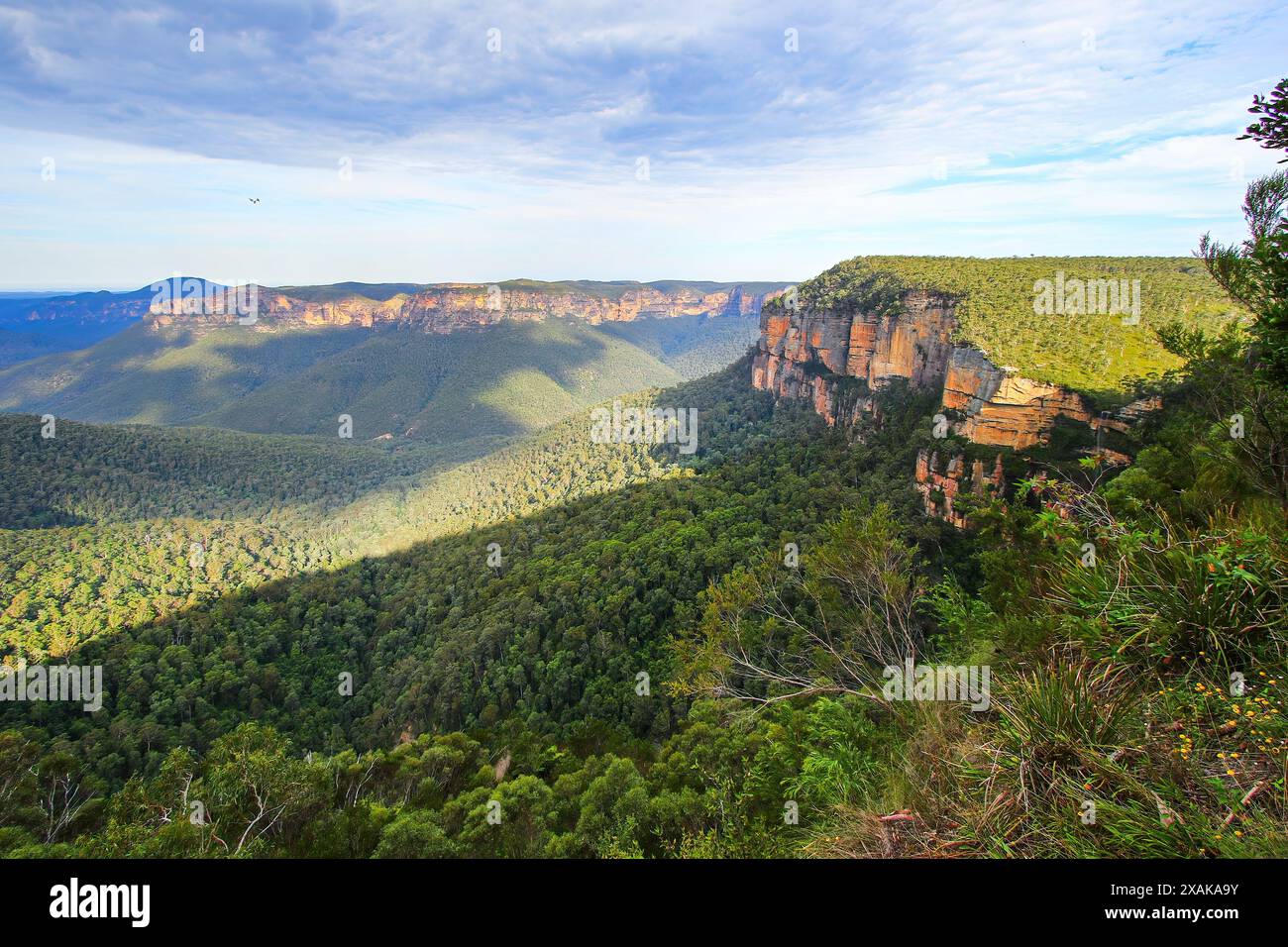 View over the cliffs and lush valleys of the Blue Mountains National ...