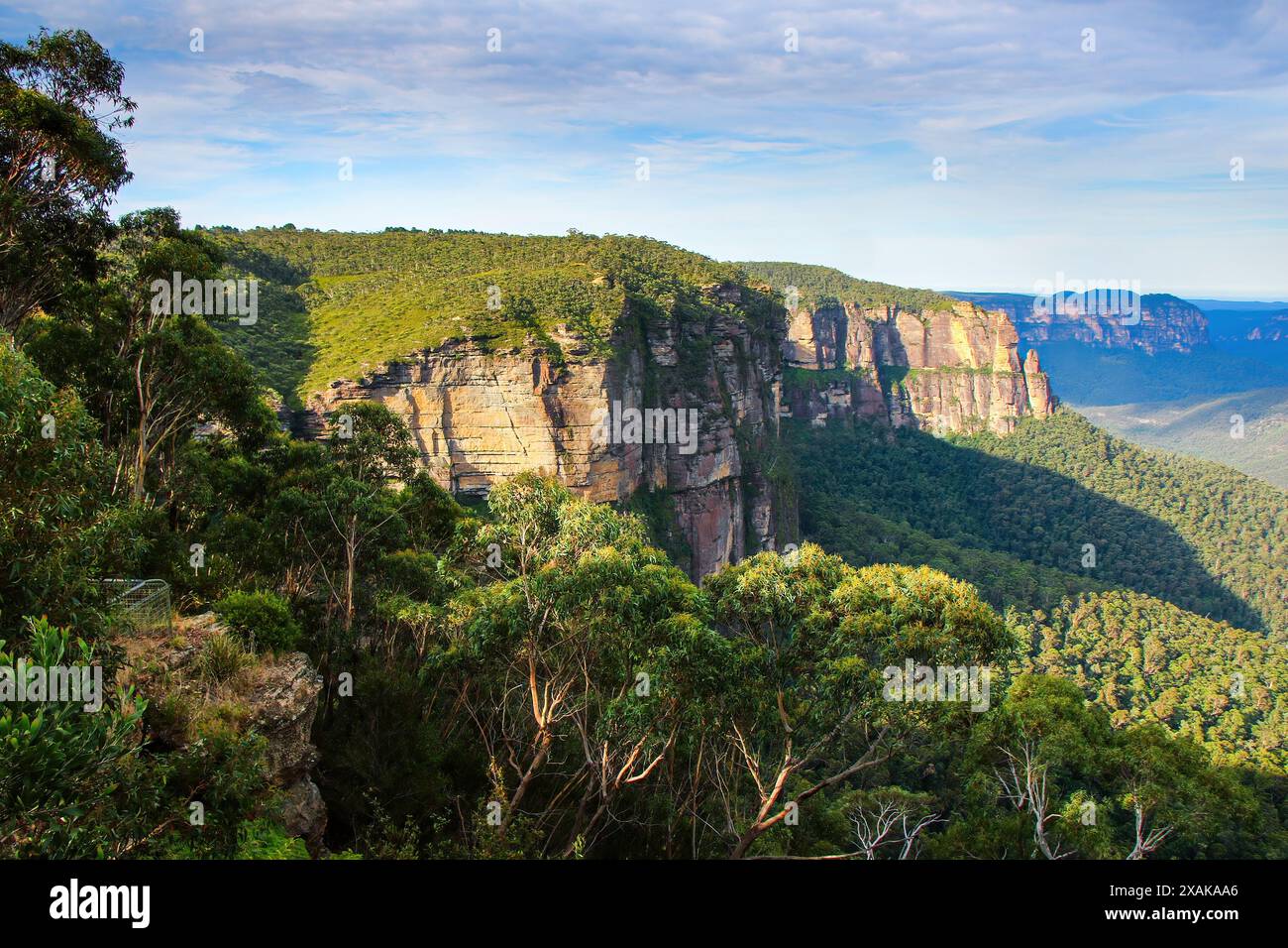 View over the cliffs and lush valleys of the Blue Mountains National ...