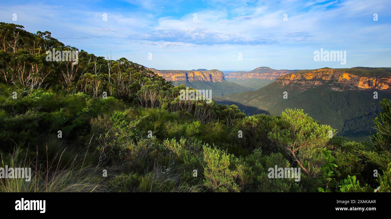 View over the cliffs and lush valleys of the Blue Mountains National ...