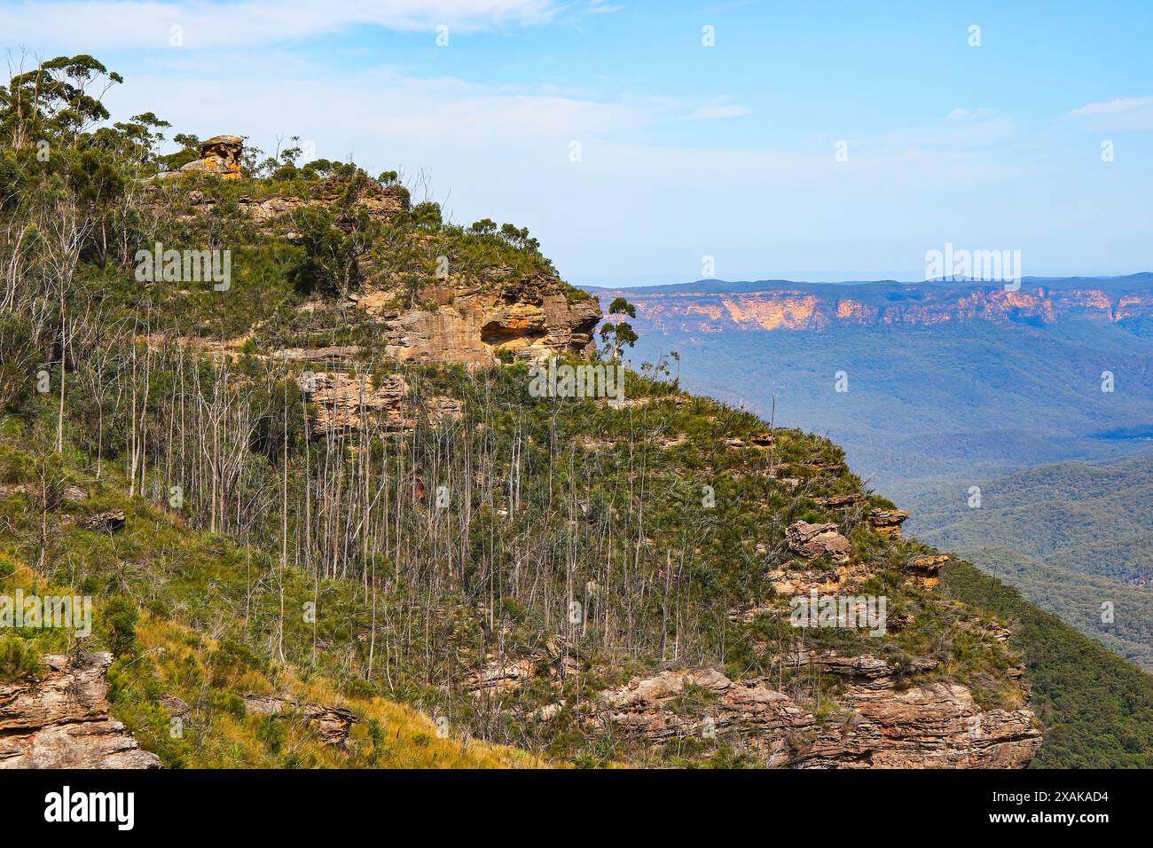 Hillside destroyed by bushfire in the Jamison Valley in Scenic World, a ...