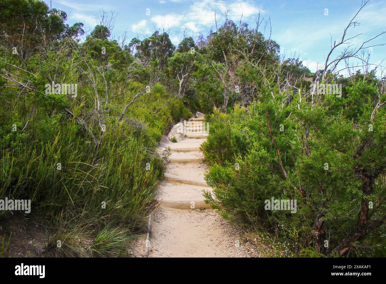 Prince Henry Cliff Walk from Katoomba to the Three Sisters rock ...
