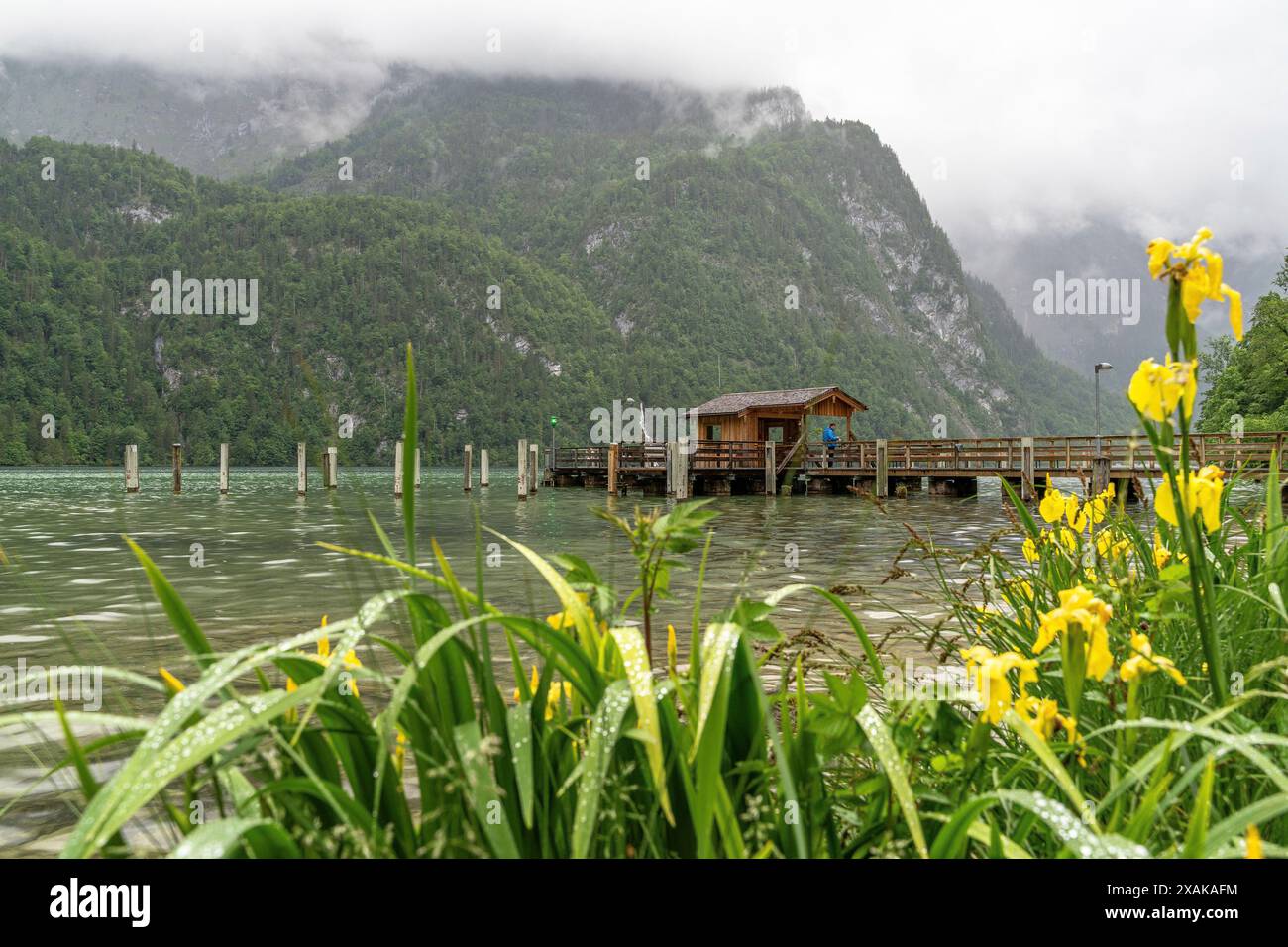 Europe, Germany, Bavaria, Bavarian Alps, Berchtesgaden, Salet boat ...