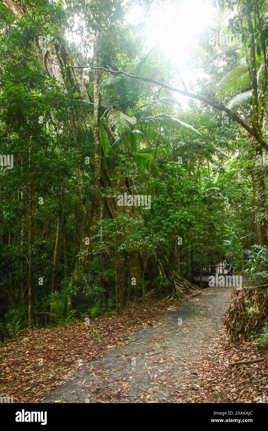 Central Station, the former hub of the forestry industry in the heart ...