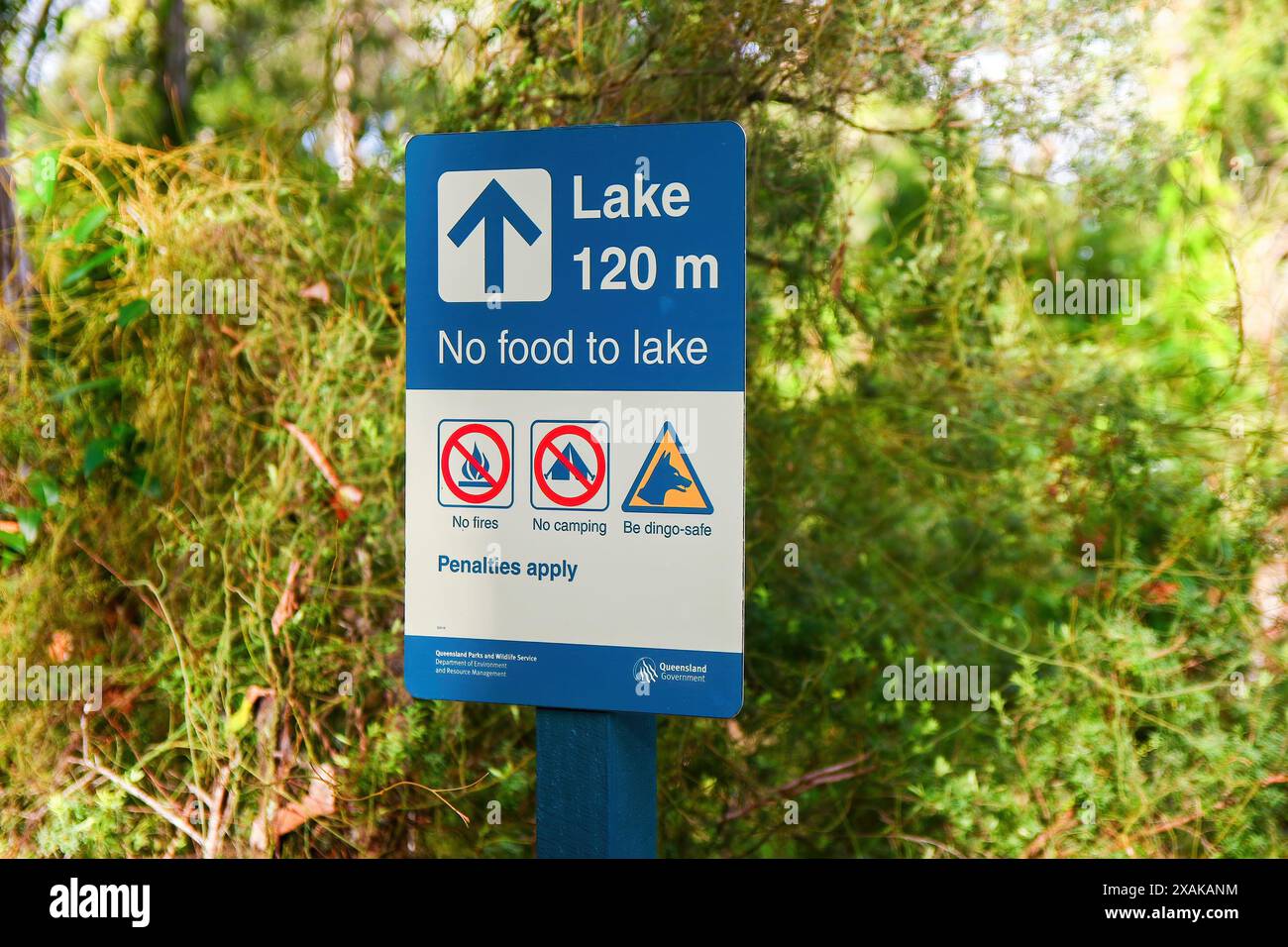 Warning sign prohibiting food at Lake McKenzie (Boorangoora) because of ...