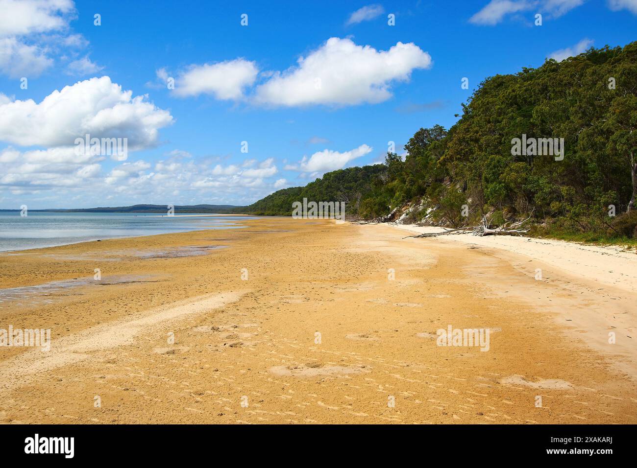 Beach of Kingfisher Bay on the west coast of K'gari (Fraser Island) in ...