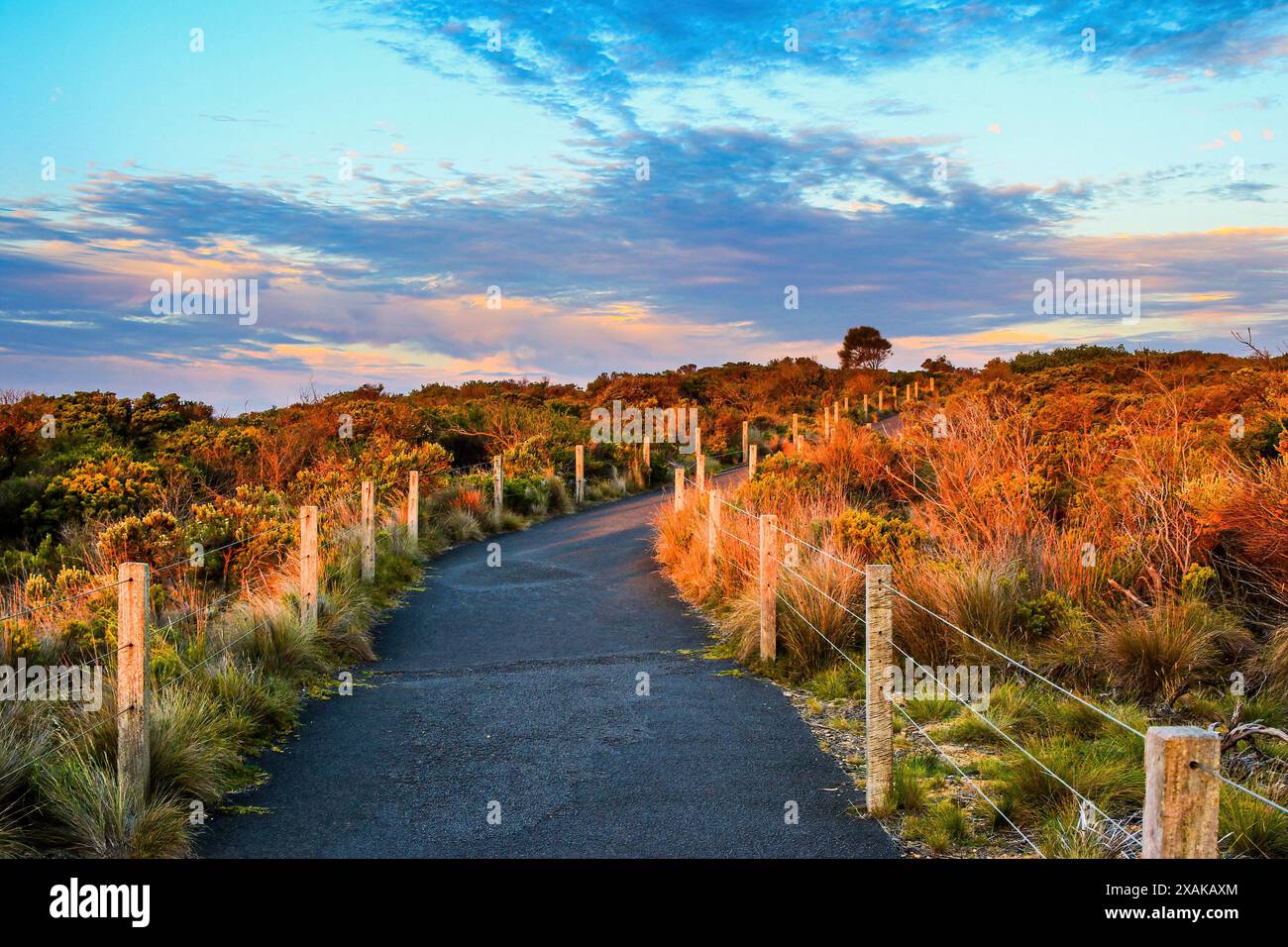 Footpath near the Loch Ard Gorge in the Twelve Apostles Marine National ...