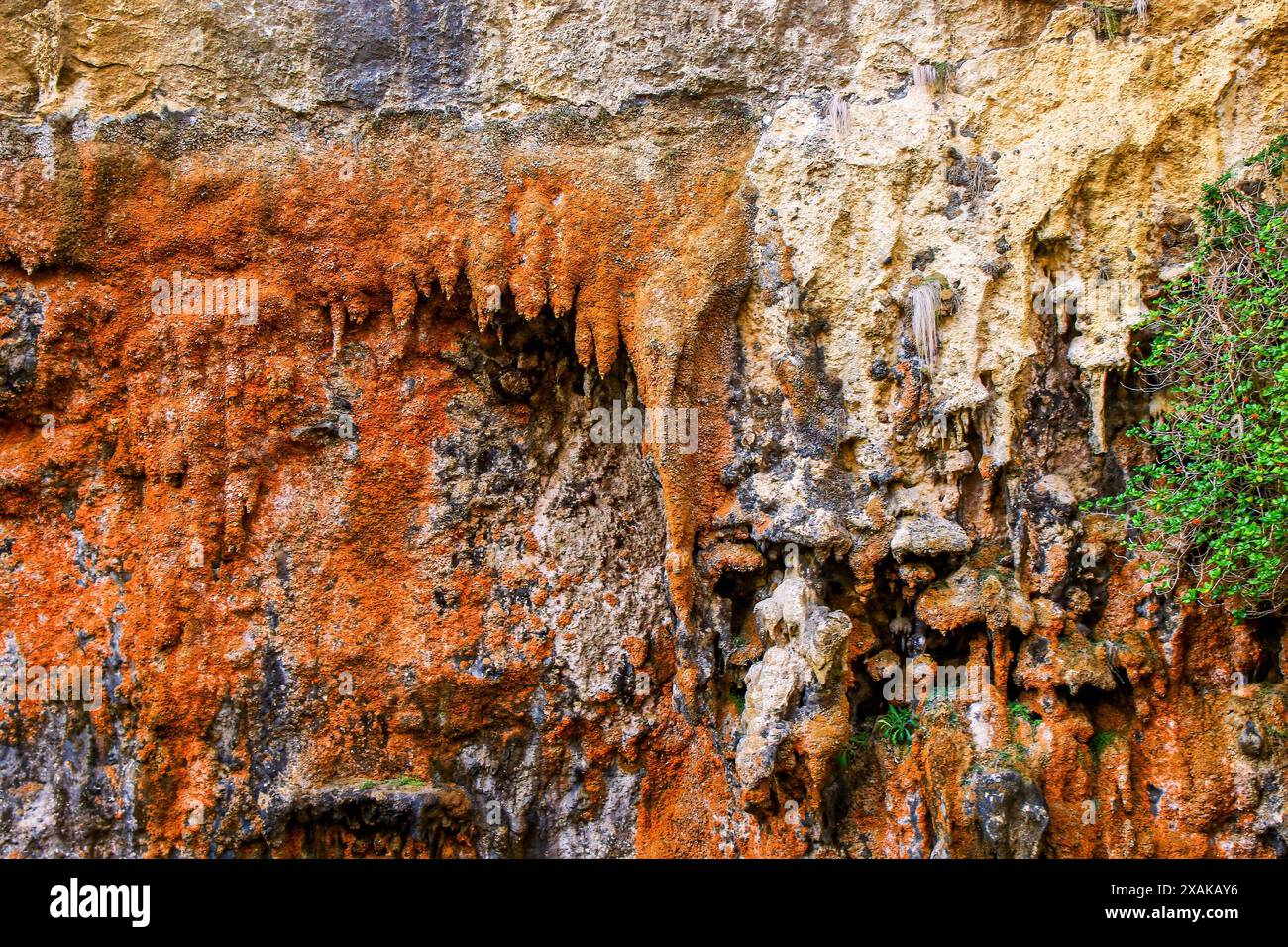 Limestone cave on the rock face of the Loch Ard Gorge in the Twelve ...