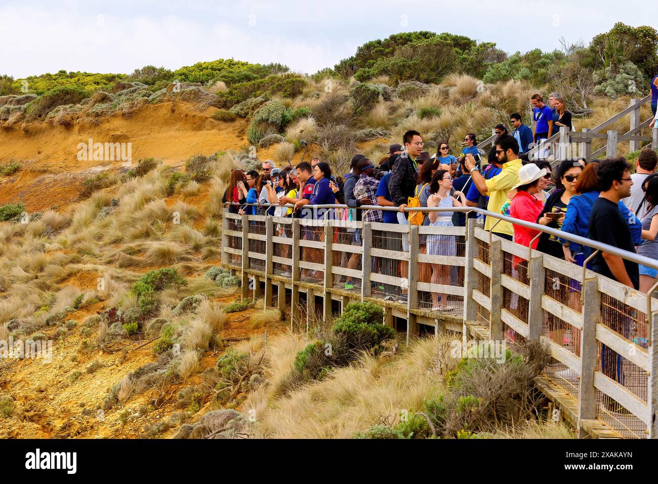 Crowd of tourists taking pictures of the view at the Twelve Apostles ...