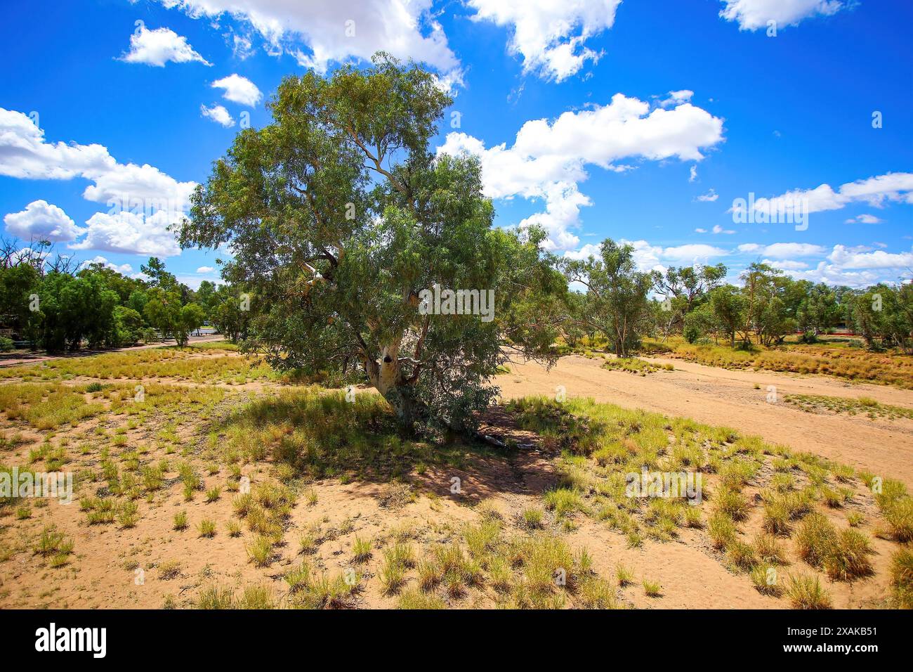 Dried up riverbed of the ephemeral Todd River in downtown Alice Springs ...