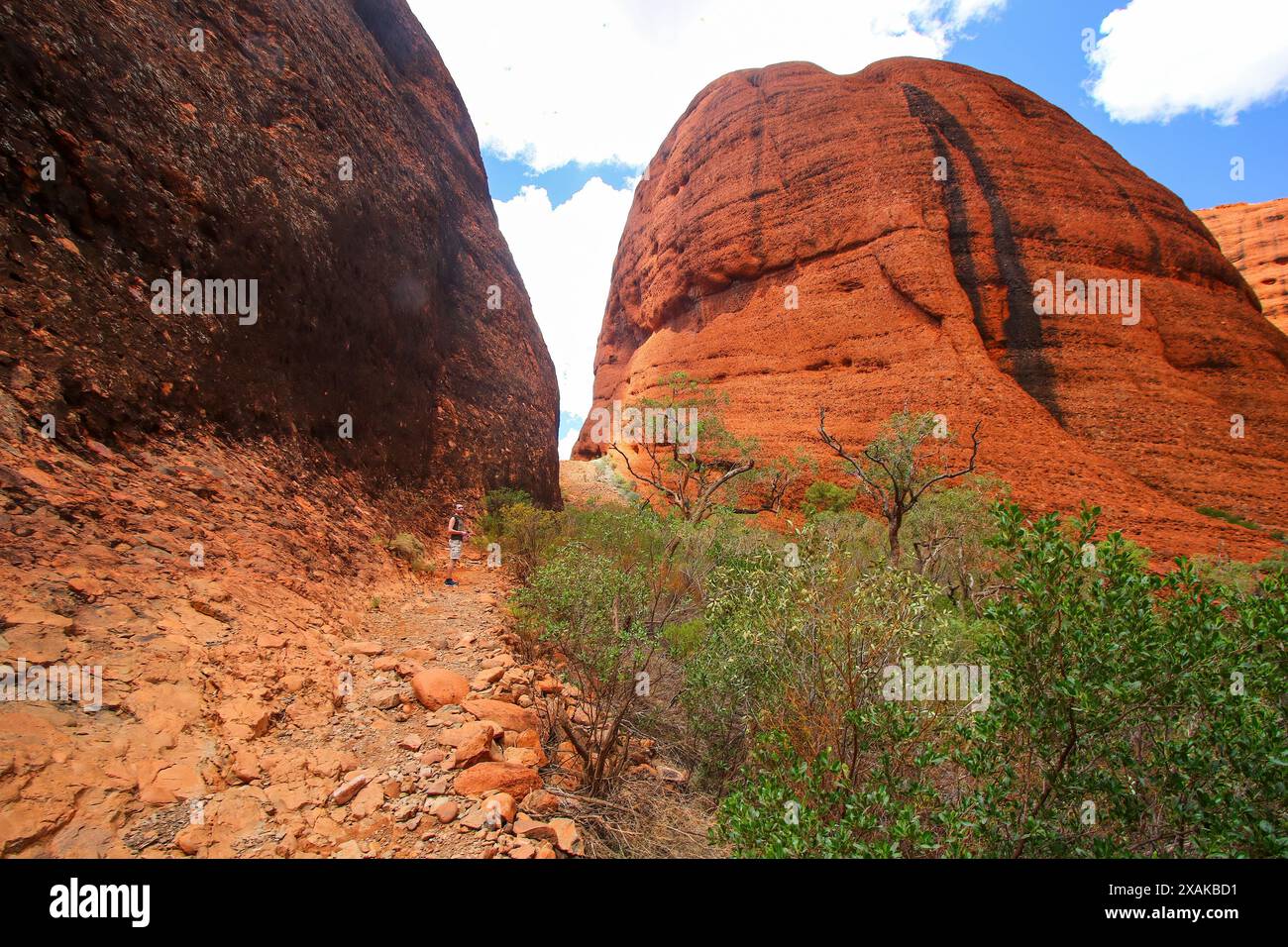 Valley of the Winds trail in Kata Tjuta aka the Olgas, large domed rock ...