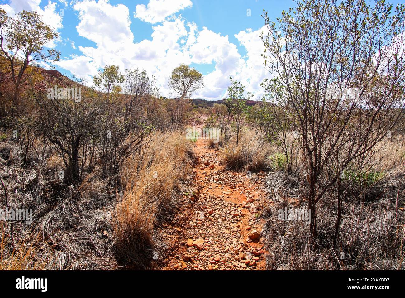 Valley of the Winds trail in Kata Tjuta aka the Olgas, large domed rock ...