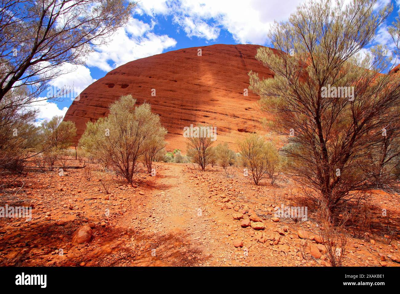 Valley of the Winds trail in Kata Tjuta aka the Olgas, large domed rock ...