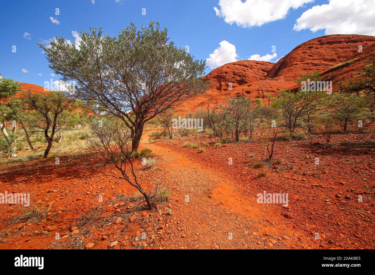 Valley of the Winds trail in Kata Tjuta aka the Olgas, large domed rock ...