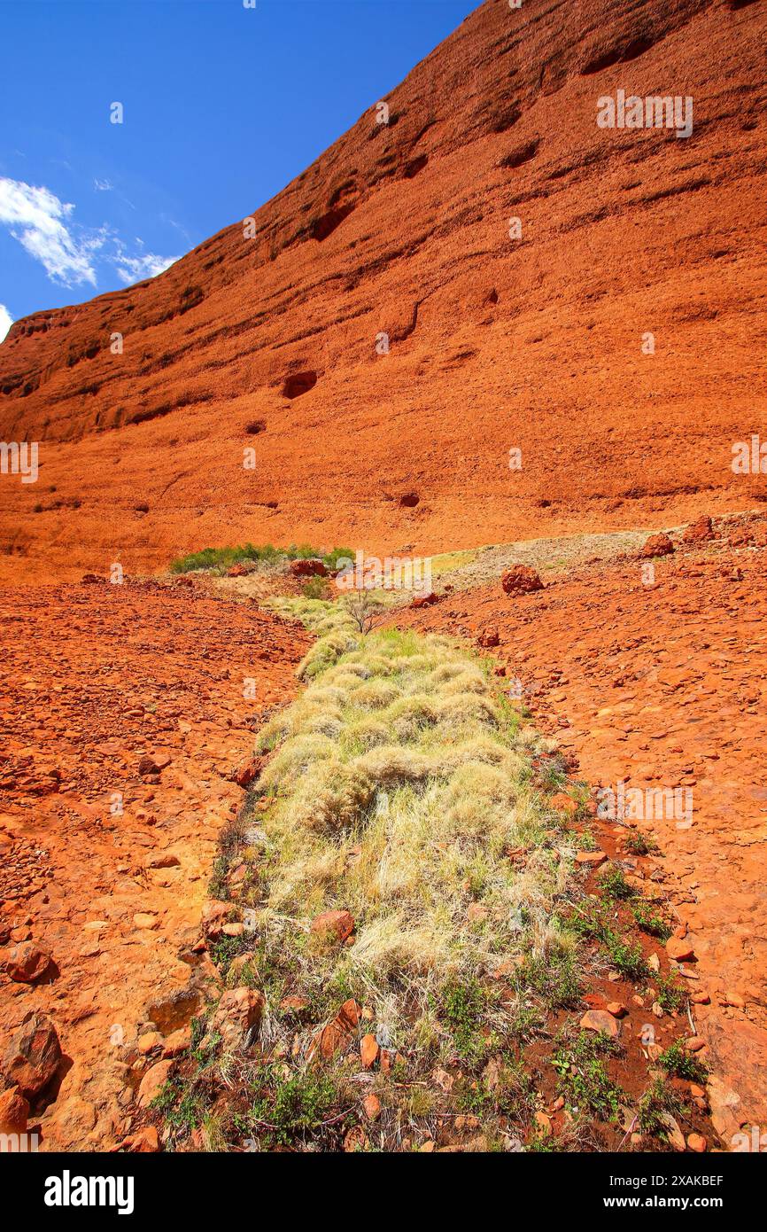 Small creek in the Walpa Gorge of Kata Tjuta aka the Olgas, large domed ...