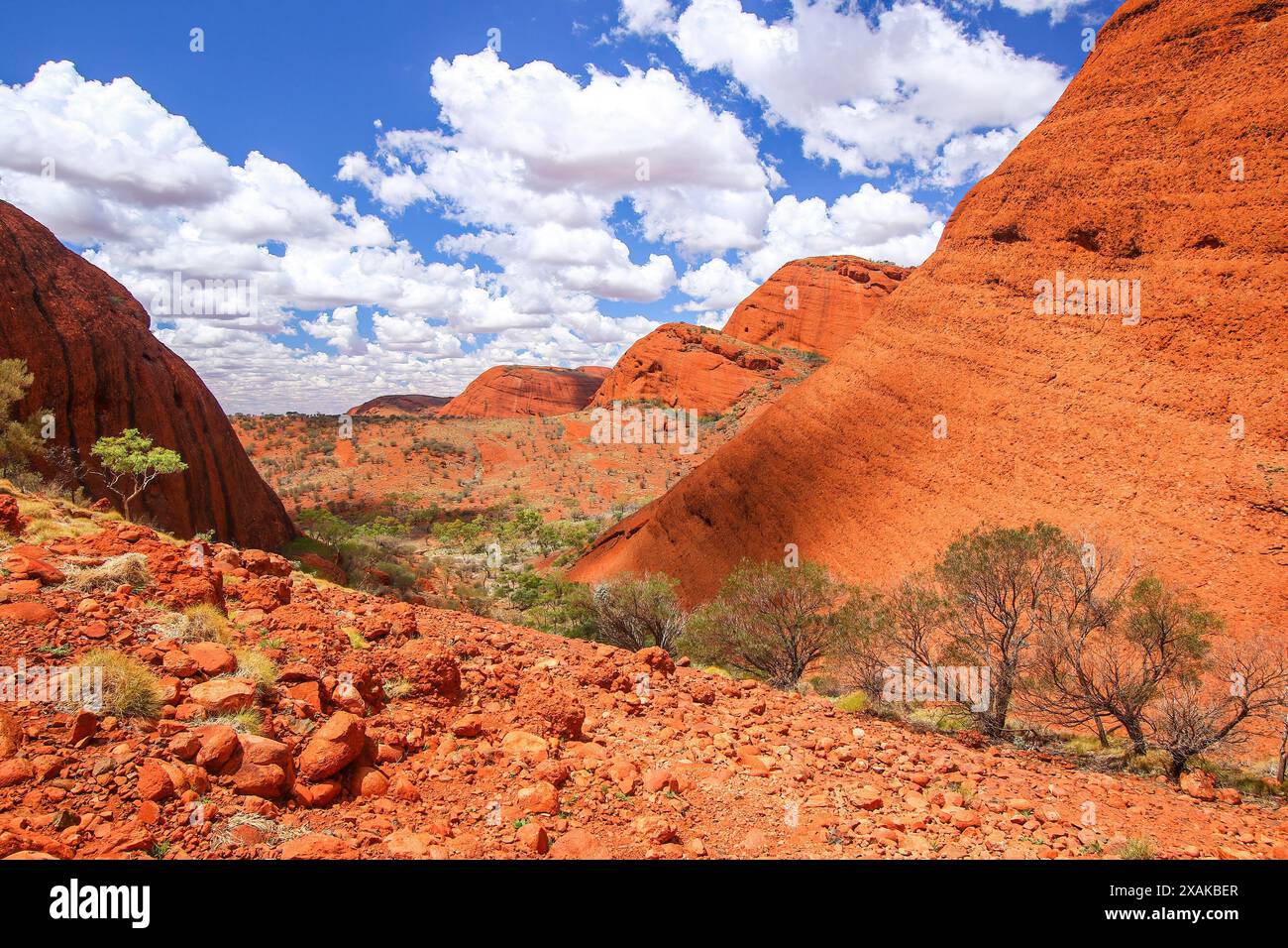 Valley of the Winds trail in Kata Tjuta aka the Olgas, large domed rock ...