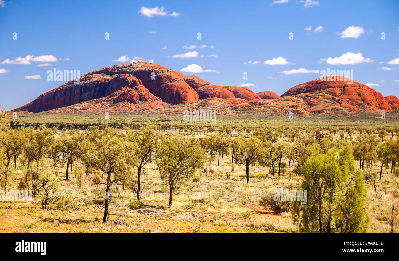 Panoramic view of the skyline of Kata Tjuta aka the Olgas, large domed ...