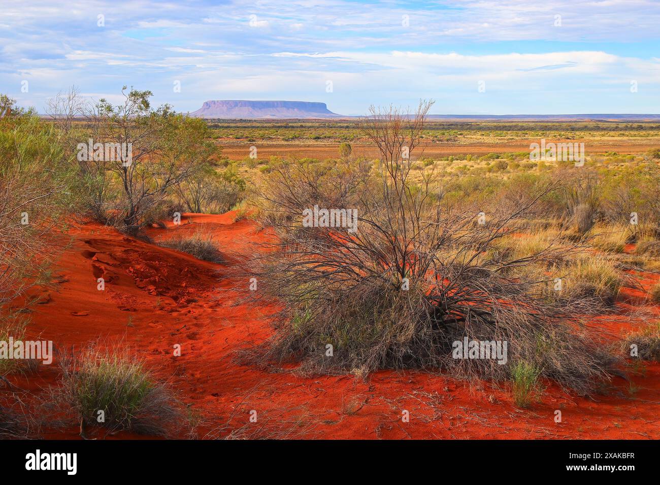 Mount Conner aka Fooluru in the desert plains of the Red Center of ...