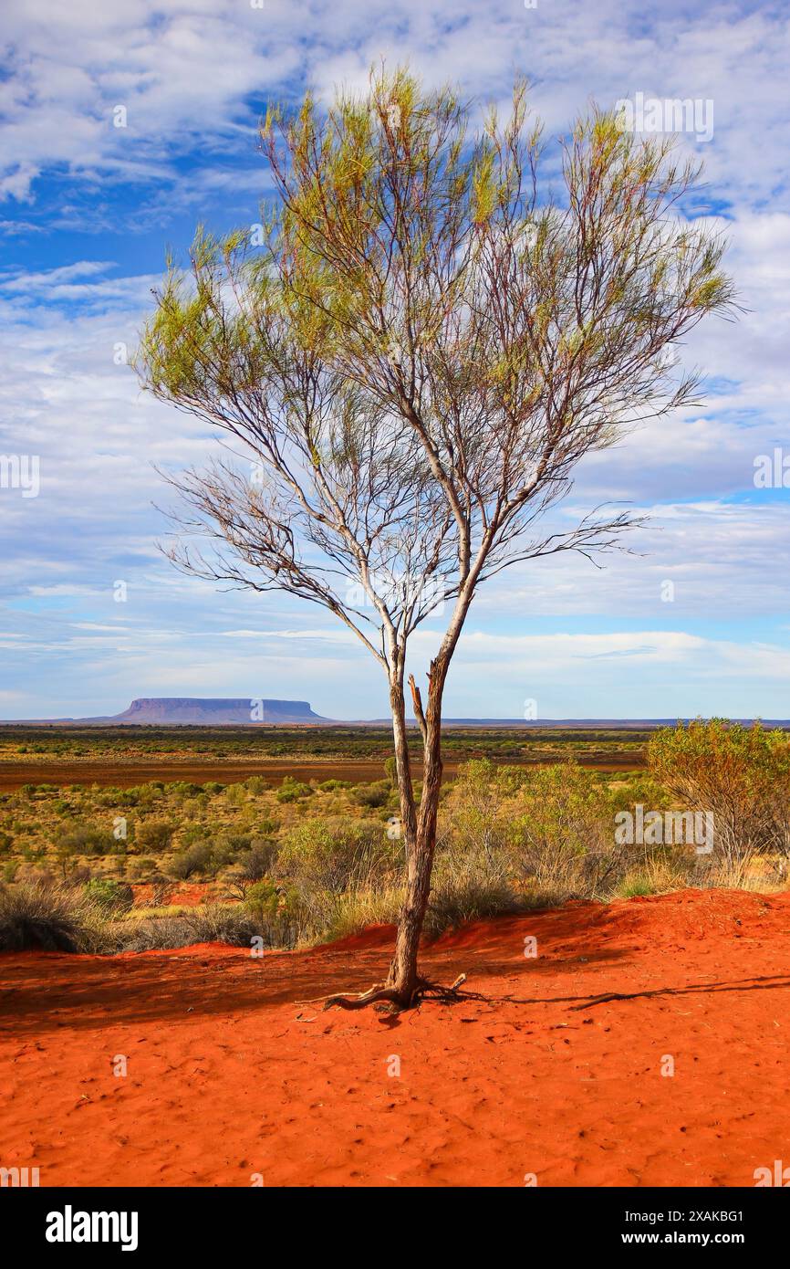 Mount Conner aka Fooluru in the desert plains of the Red Center of ...