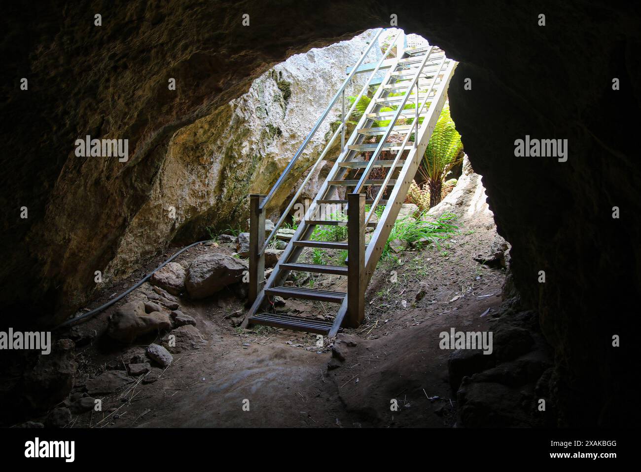 Metallic stairs leading down to the Stick-Tomato Cave through a ...