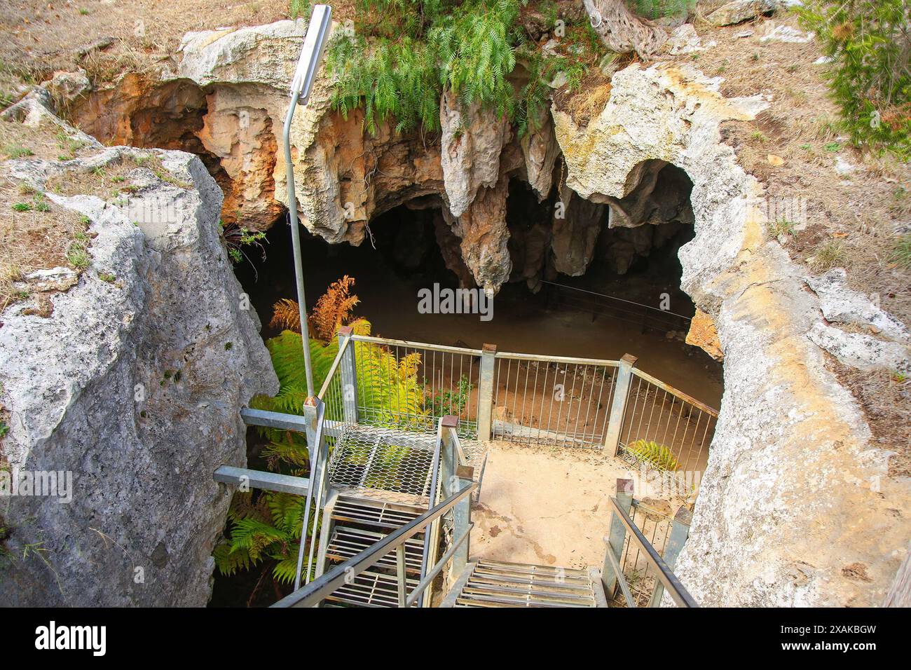 Metallic stairs leading down to the Stick-Tomato Cave through a ...