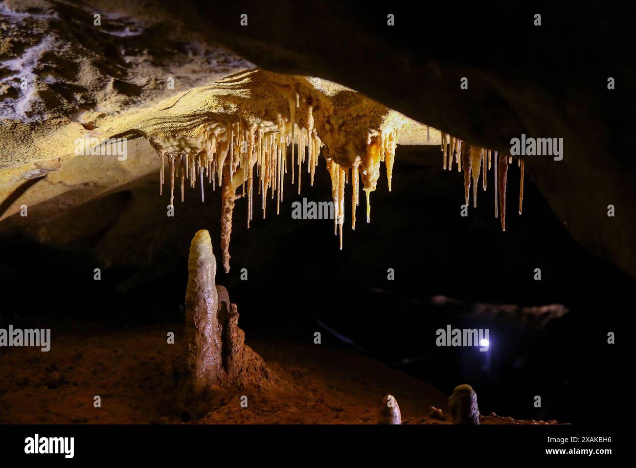 Soda straws stalactites in the Blanche Cave in the Naracoorte Caves ...