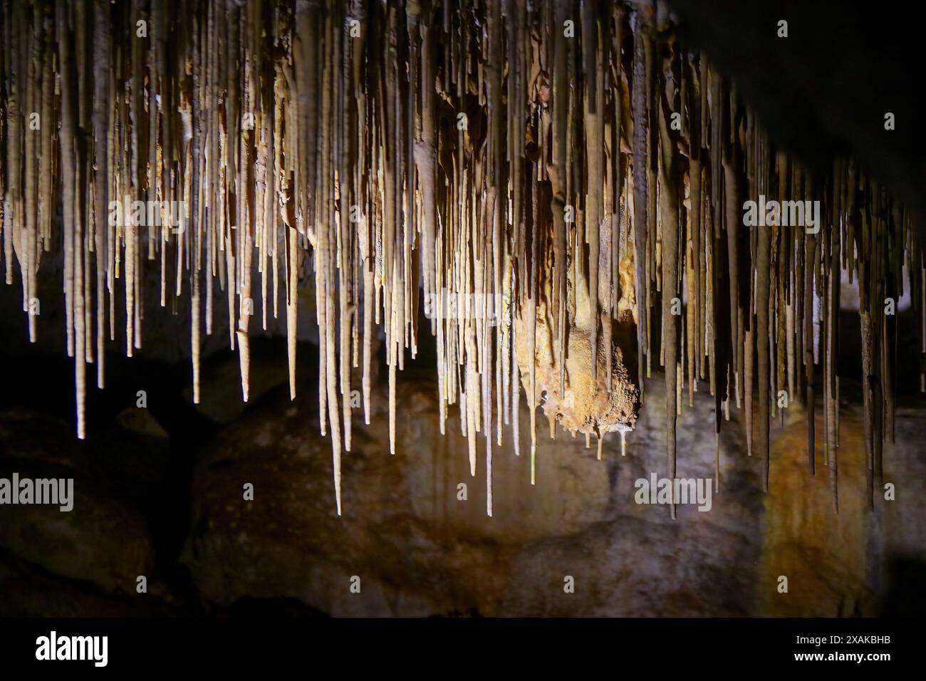 Soda straws stalactites in the Blanche Cave in the Naracoorte Caves ...