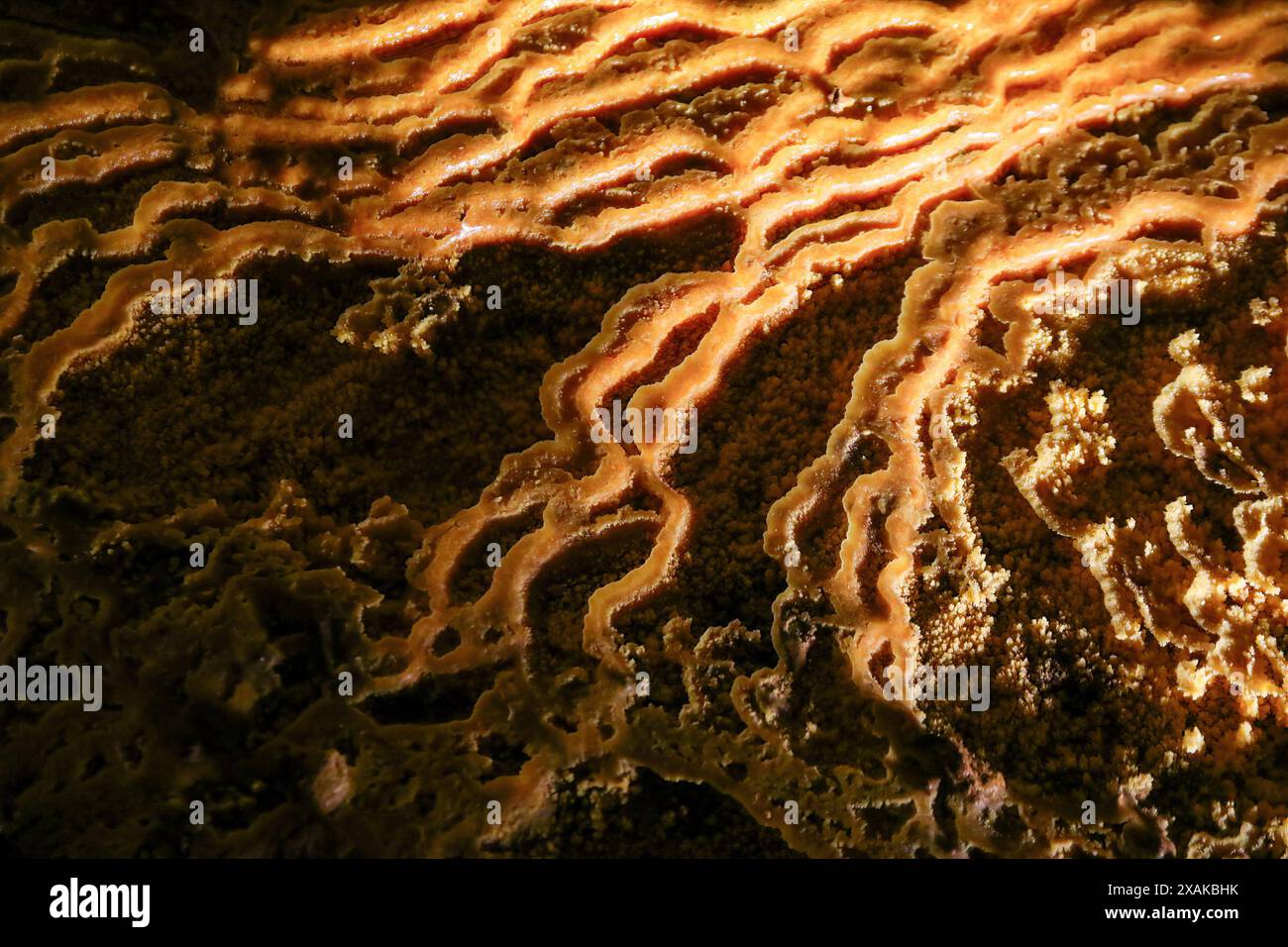 Rimstone (gours) in the Blanche Cave in the Naracoorte Caves National ...