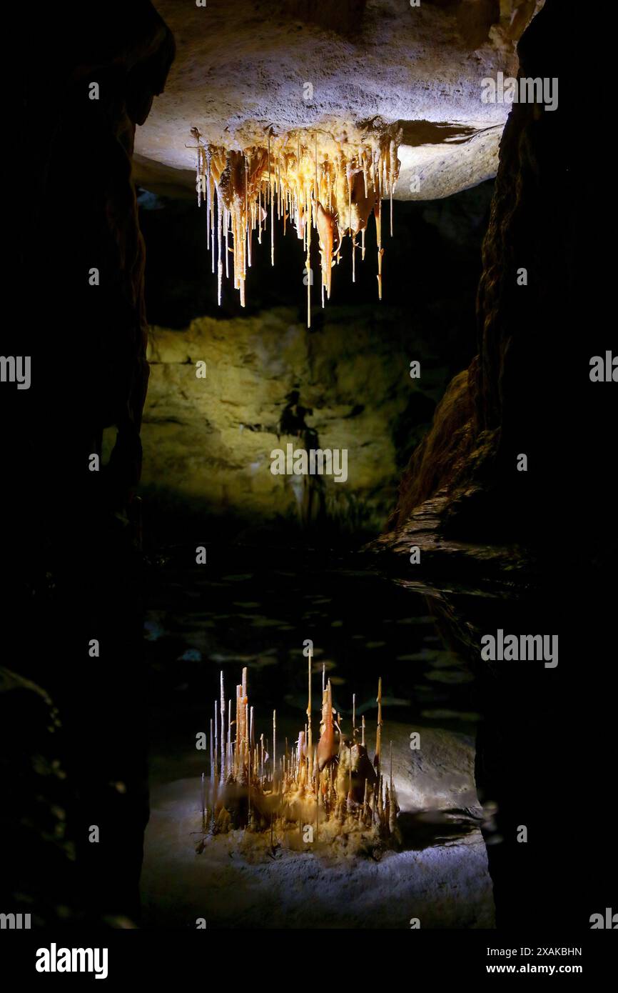 Soda straws stalactites and stalagmites in the Blanche Cave in the ...