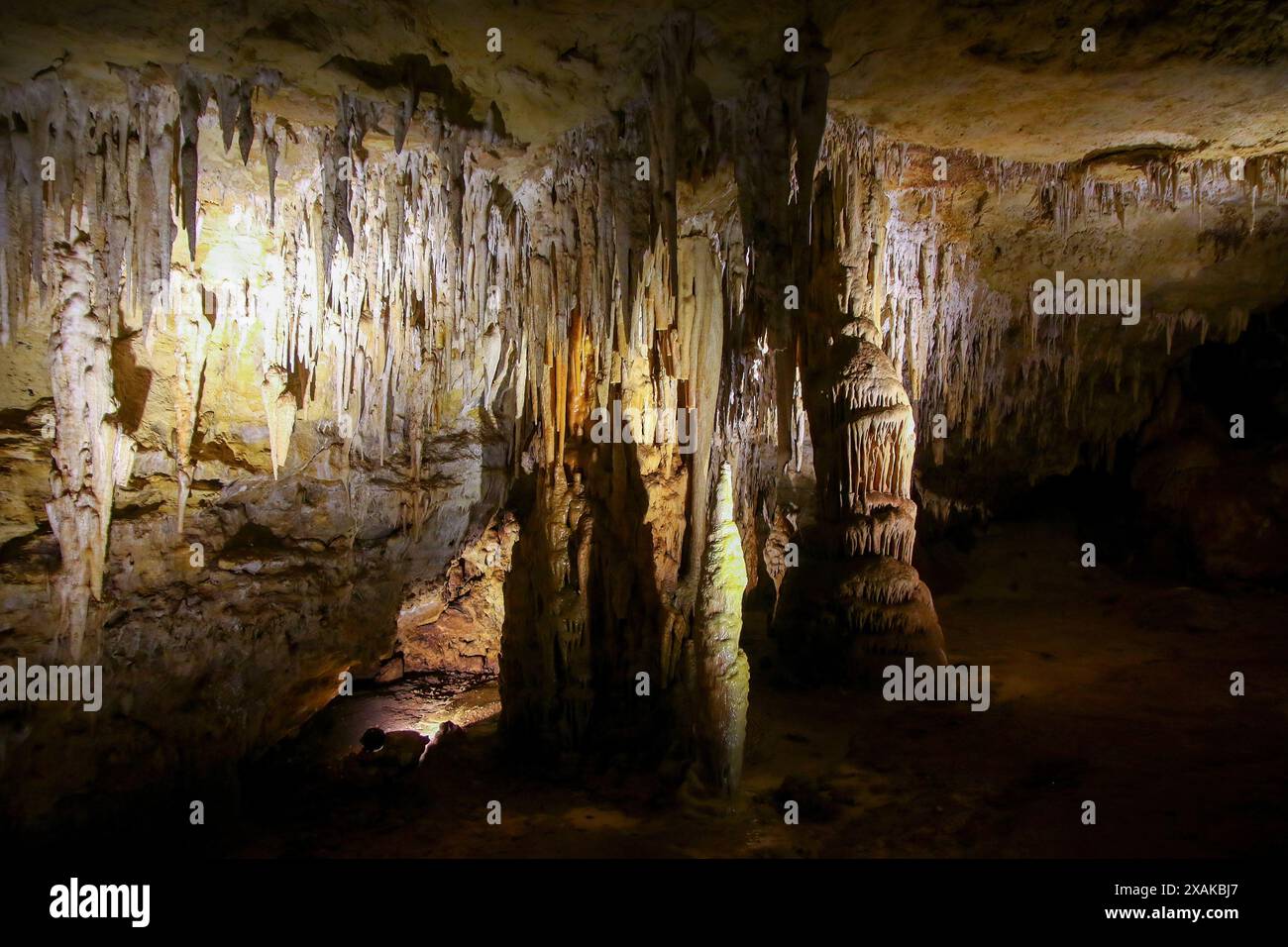 Drapery in the Blanche Cave in the Naracoorte Caves National Park in ...