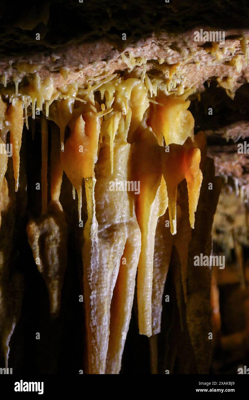 Stalactites in the Victoria Fossil Cave in the Naracoorte Caves ...