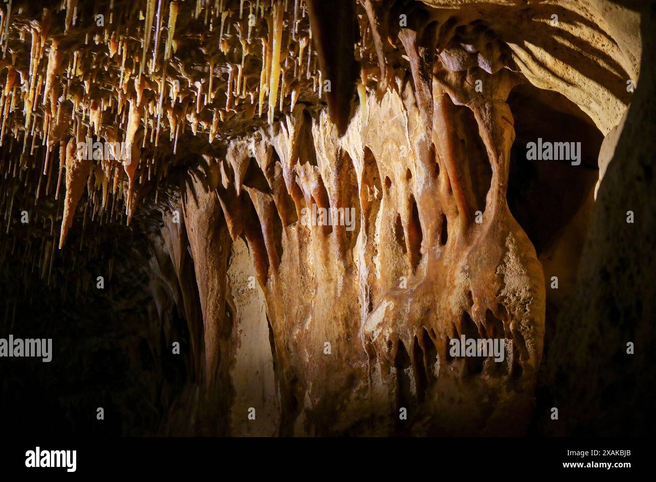 Drapery in the Blanche Cave in the Naracoorte Caves National Park in ...