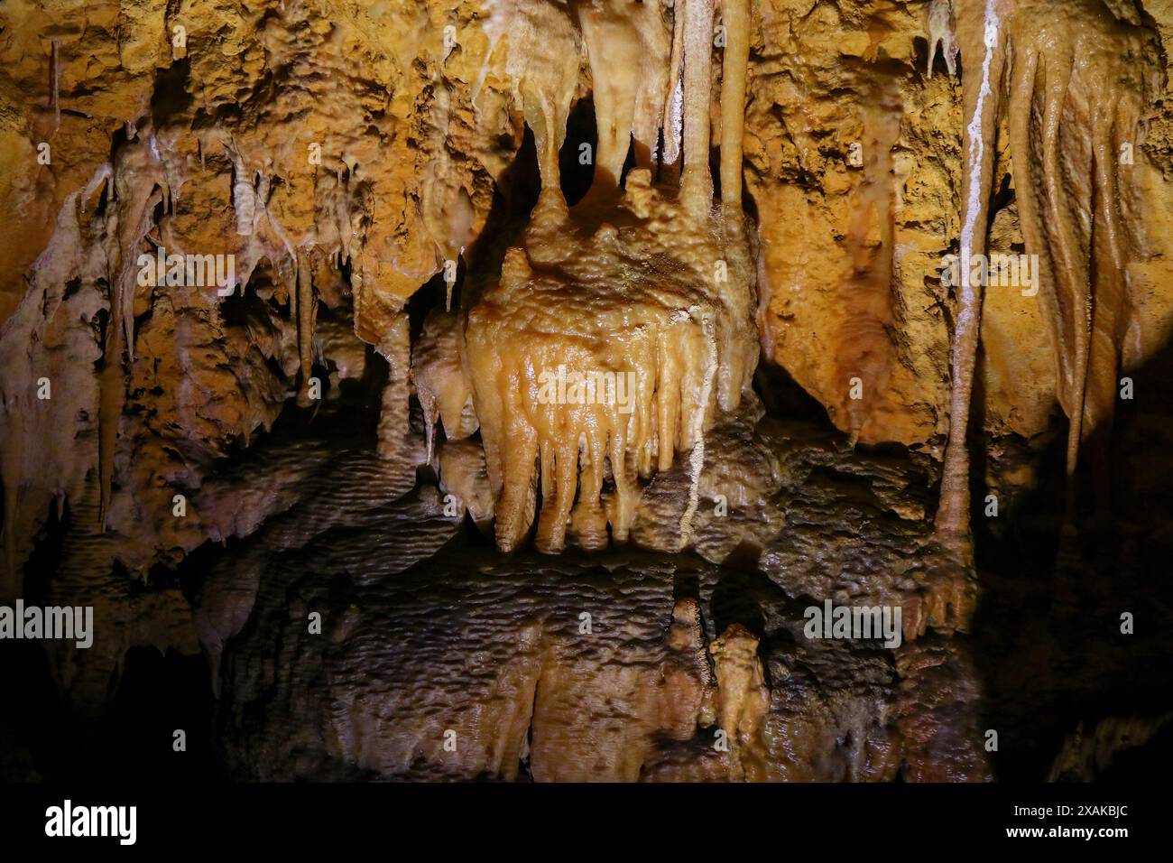 Drapery in the Victoria Fossil Cave in the Naracoorte Caves National ...