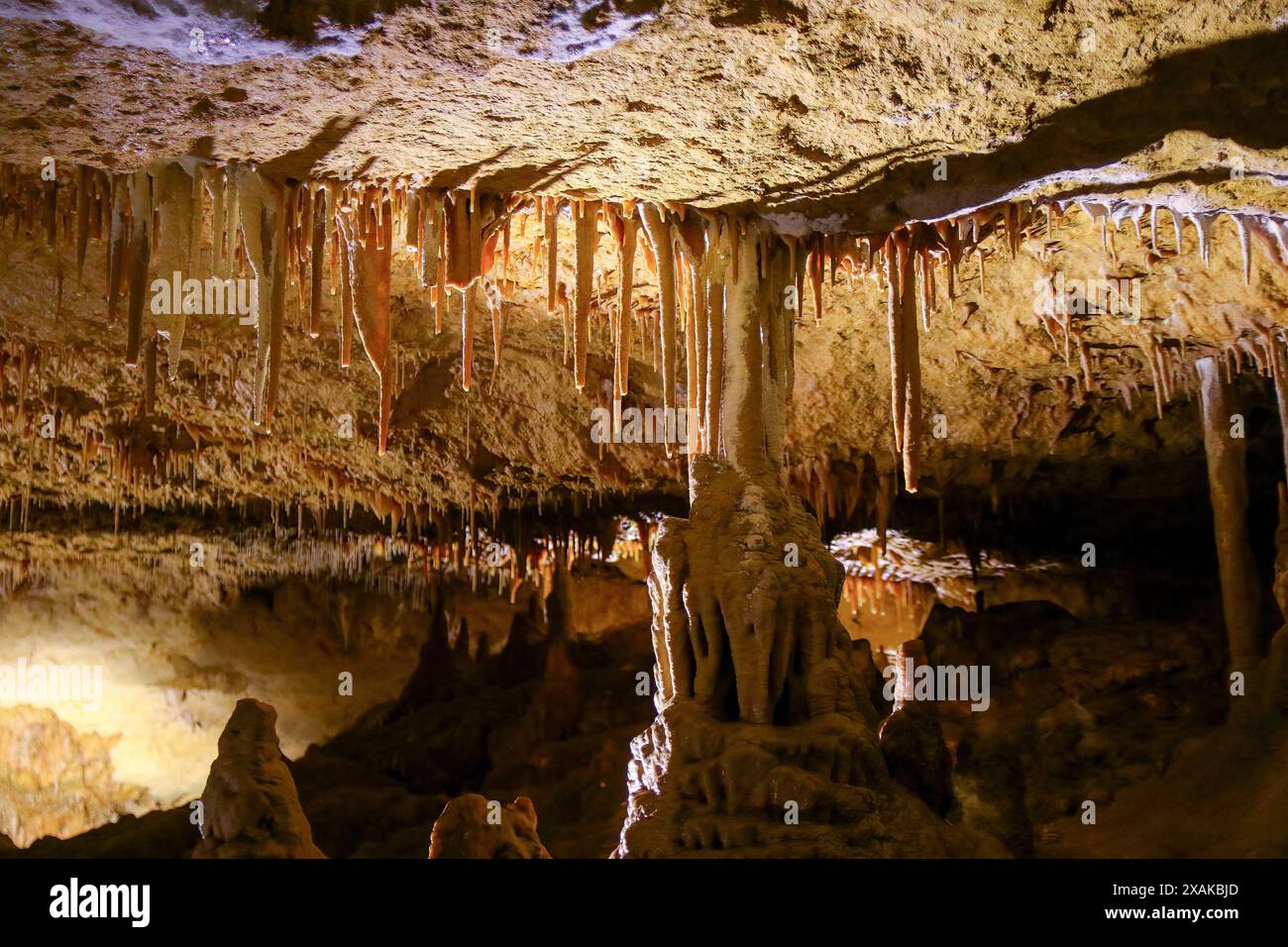 Stalactites in the Victoria Fossil Cave in the Naracoorte Caves ...
