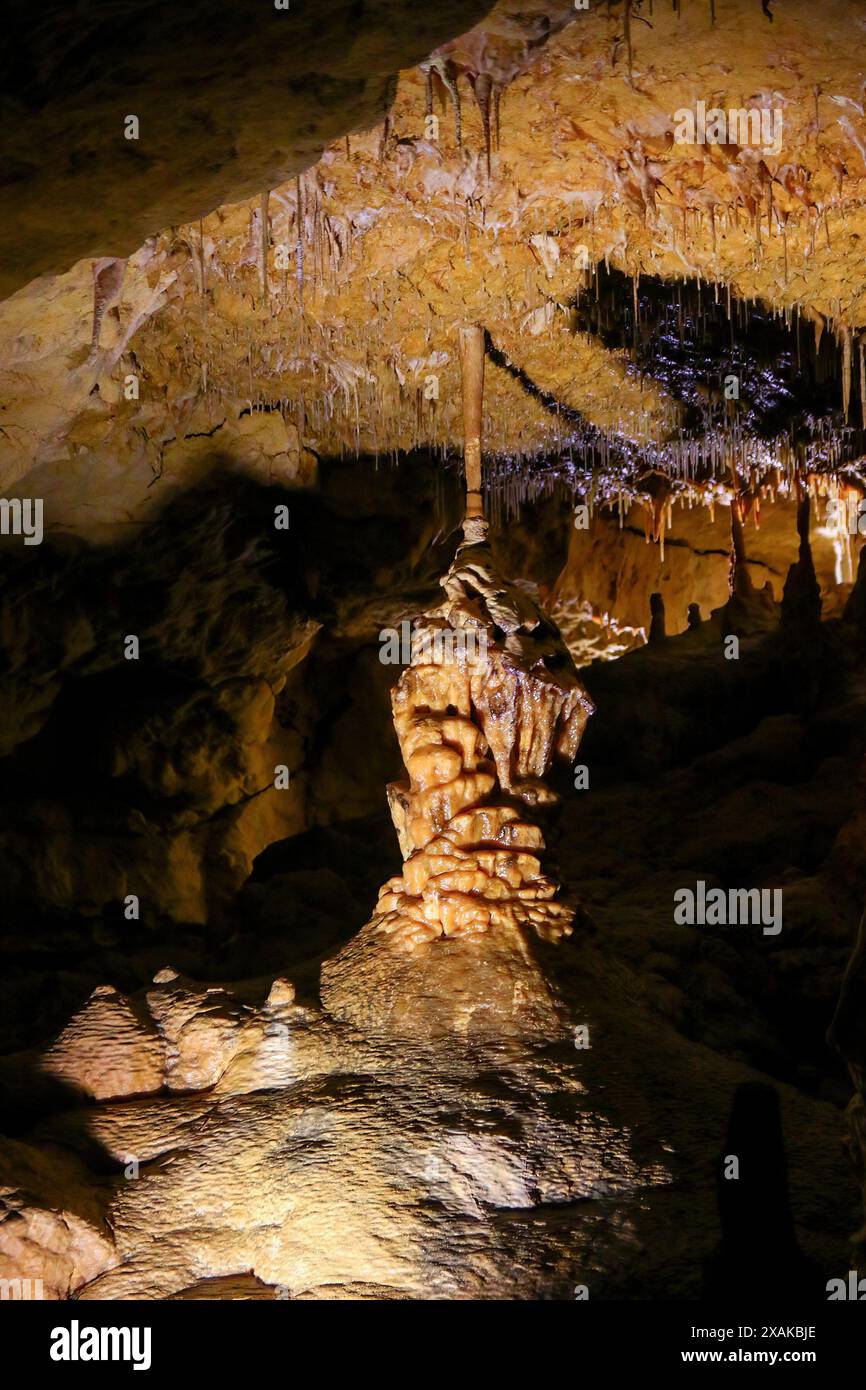 Coned stalagmite in the Victoria Fossil Cave in the Naracoorte Caves ...