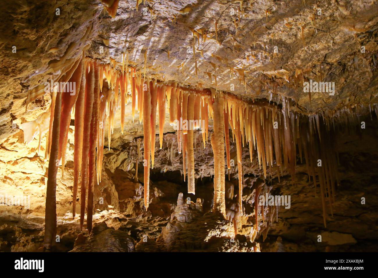 Stalactites in the Victoria Fossil Cave in the Naracoorte Caves ...