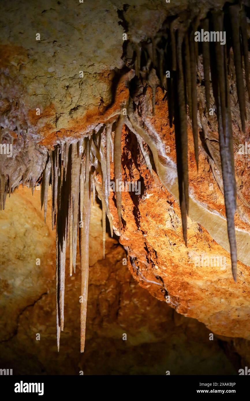 Stalactites in the Victoria Fossil Cave in the Naracoorte Caves ...