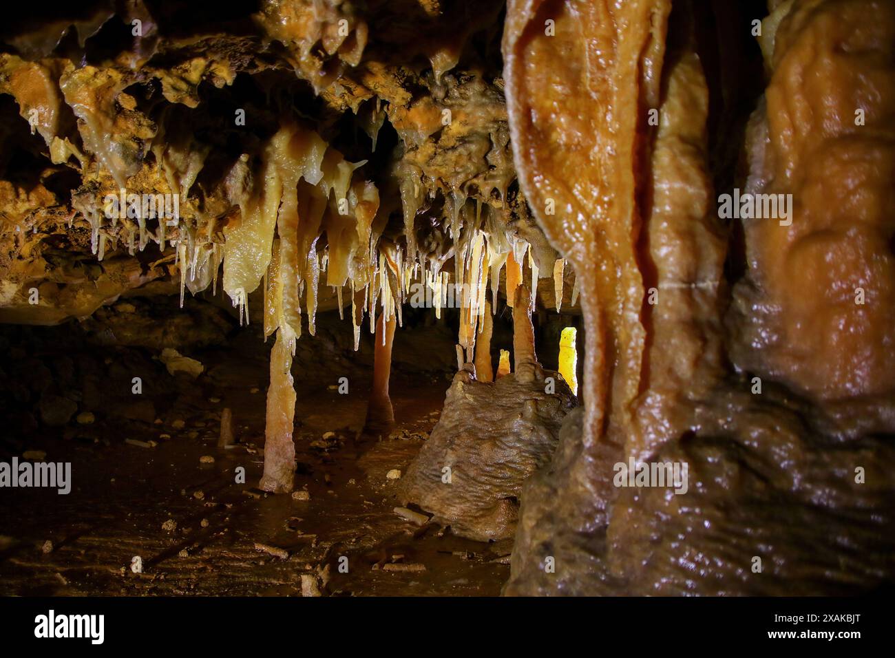 Drapery (speleothem) in the Victoria Fossil Cave in the Naracoorte ...