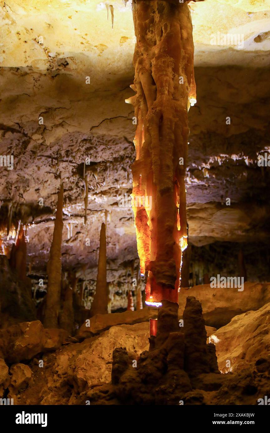 Column (stalagnate) in the Victoria Fossil Cave in the Naracoorte Caves ...
