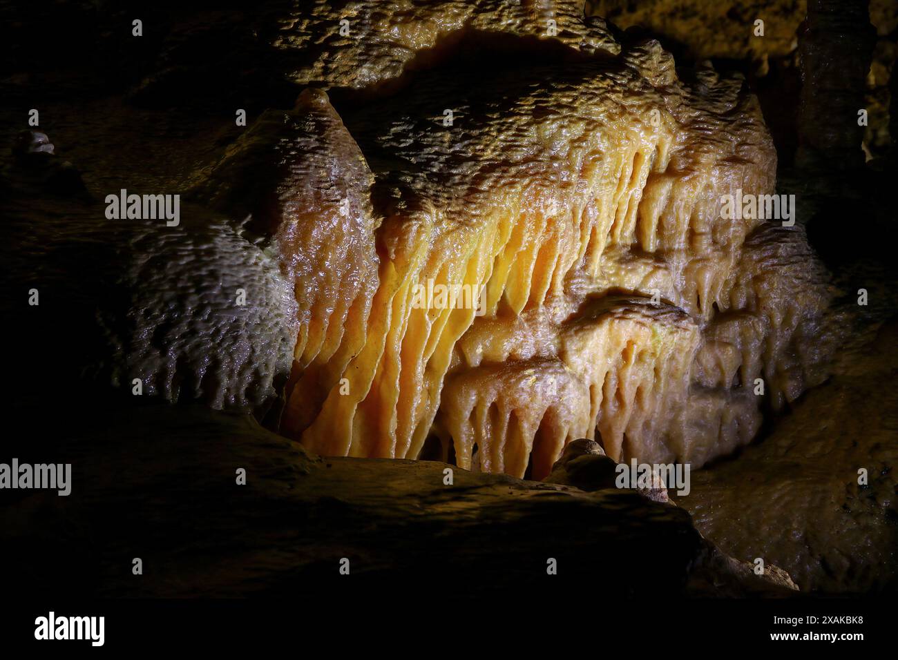 Drapery (speleothem) in the Victoria Fossil Cave in the Naracoorte ...