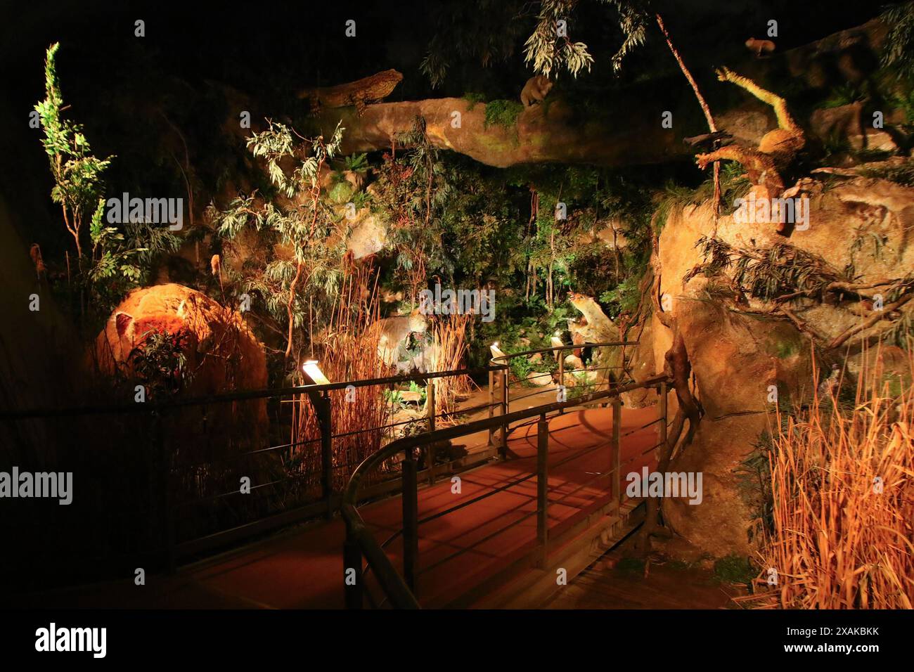 Extinct animals exhibit in the Wonambi Fossil Centre in the Naracoorte ...