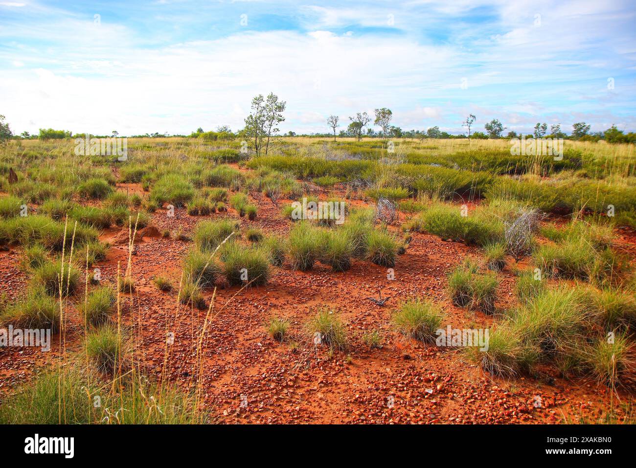 Termite tower hi-res stock photography and images - Alamy
