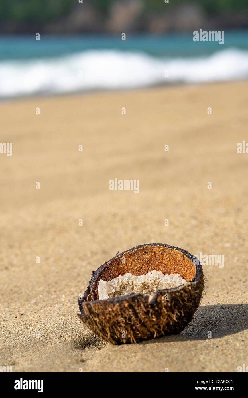 North America, Caribbean, Hispaniola Island, Dominican Republic, Samana ...