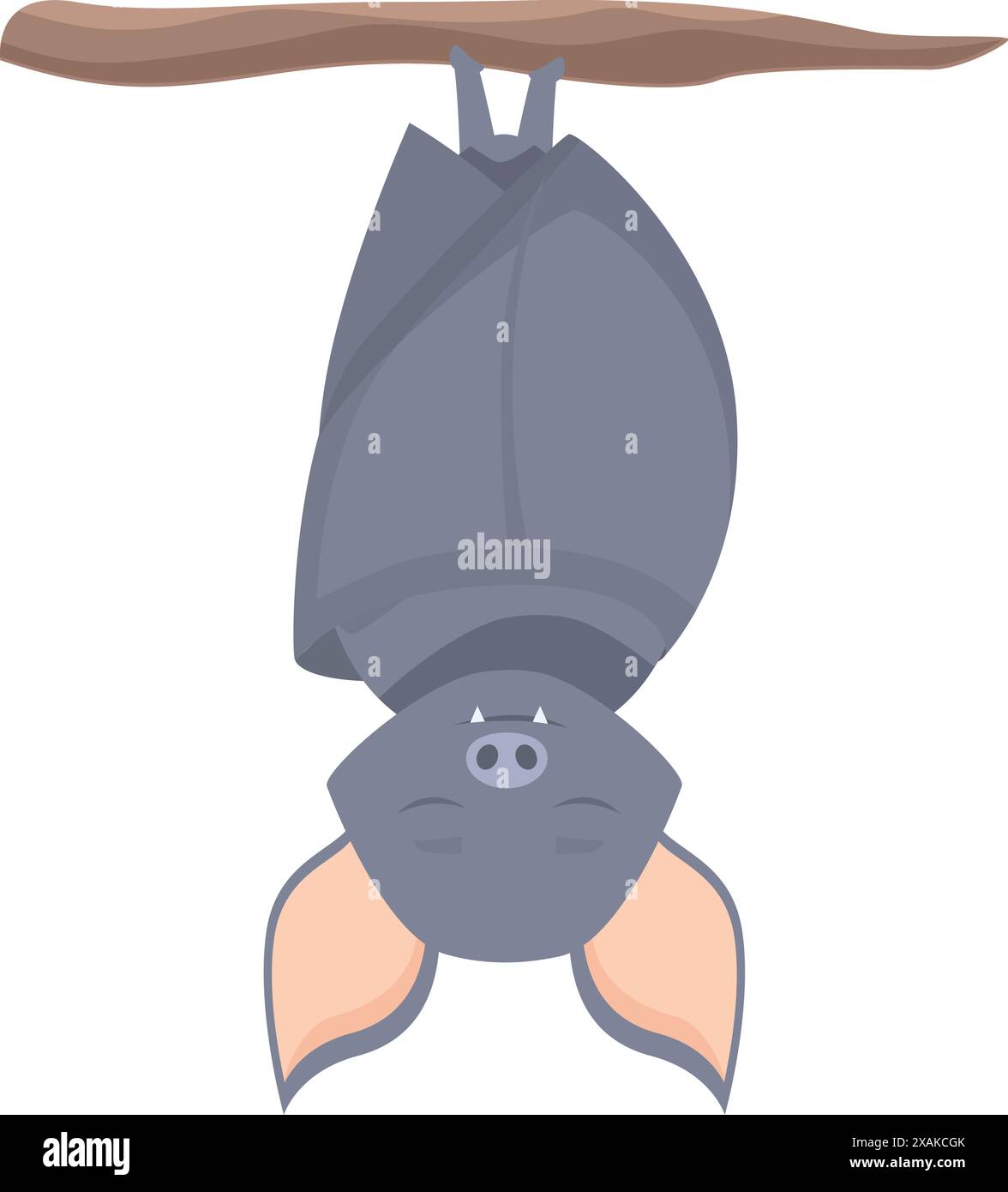 Cartoon grey bat sleeping upside down on a tree branch Stock Vector ...
